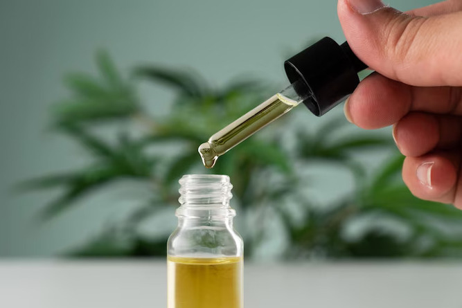 All About CBD Oil